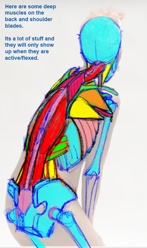 Analytical Figure Drawing with Kevin Chen (Online Course) – Concept ...