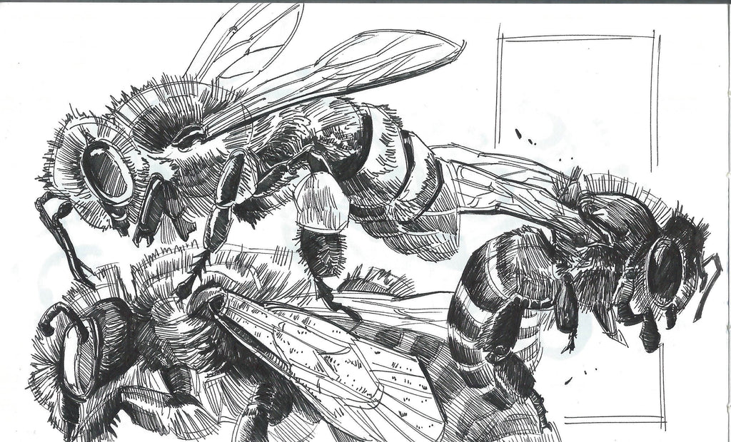 Vis Com 1: Dynamic Sketching with Andrew Cano (Online Course) – Concept ...